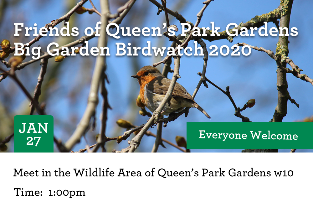 RSPB Garden Birdwatch in the park | Friends of Queen's Park Gardens